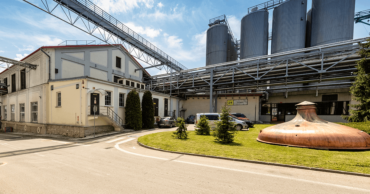 Zielone inwestycje w Żywcu – Druga strona Ż